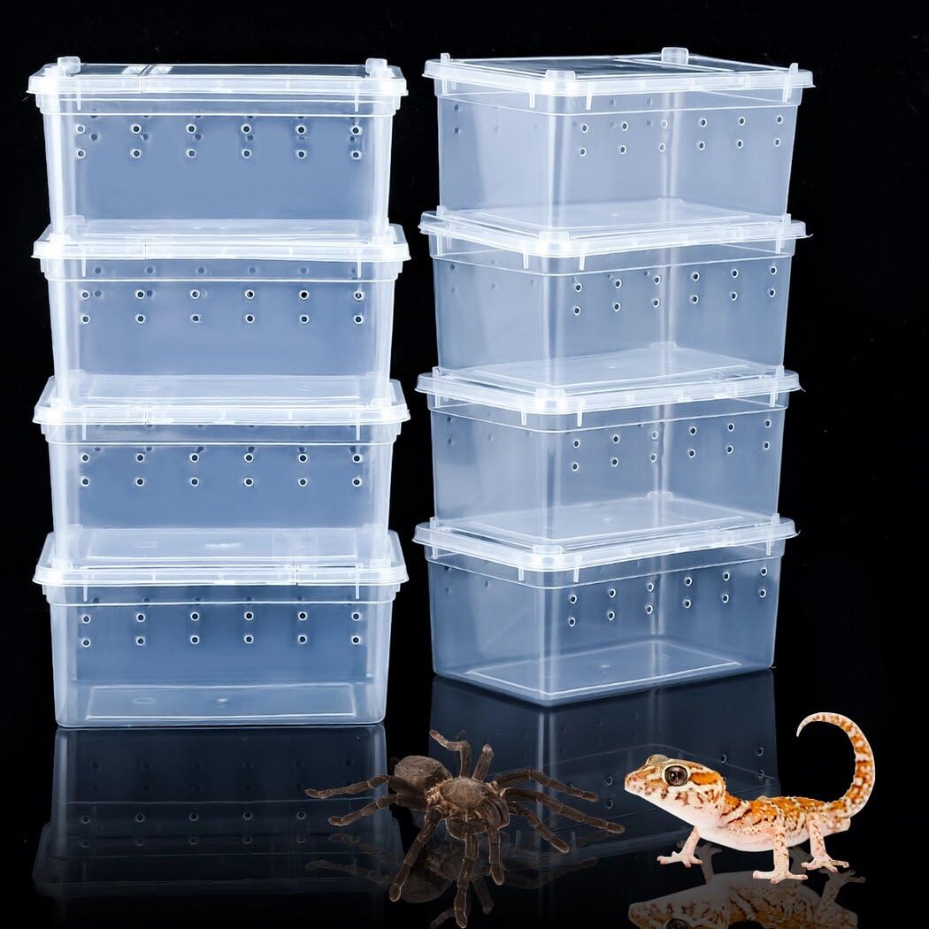 Amazon.com : 8 Pcs Spider Terrariums Breeding Box Hatching Container ...