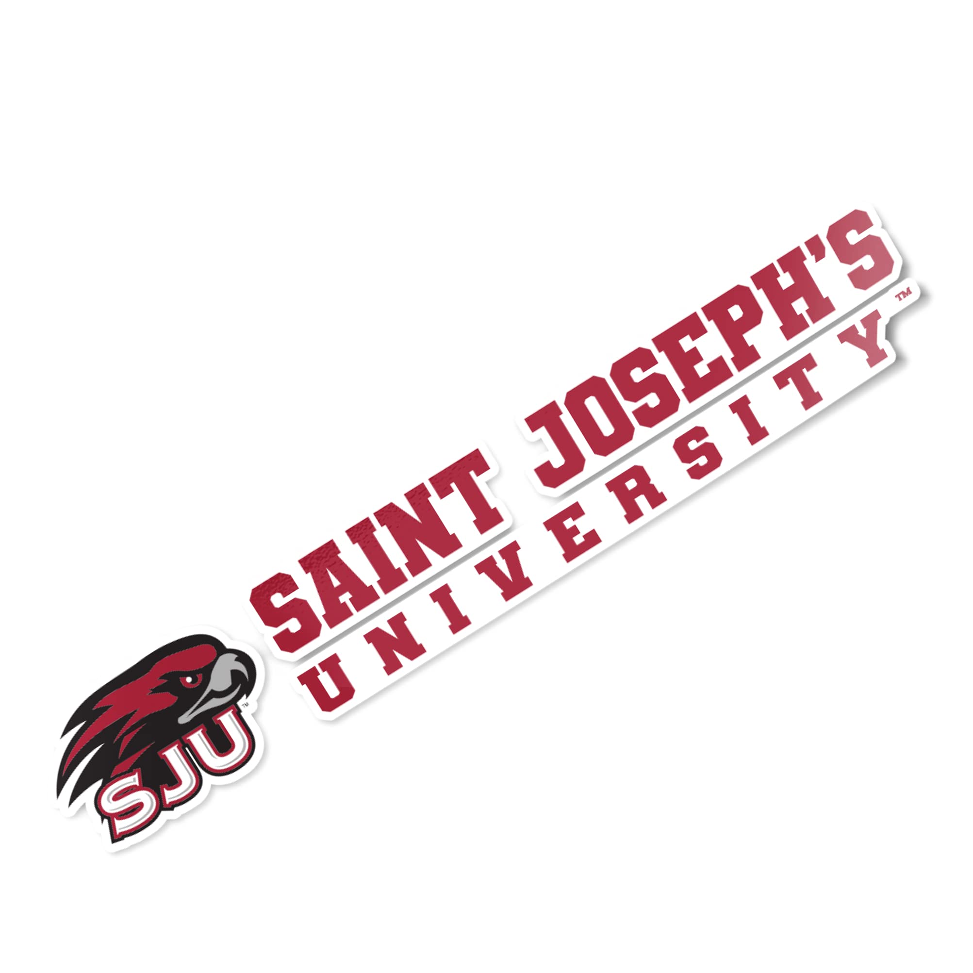 Amazon.com: Desert Cactus Saint Joseph's University Sticker Hawks Name ...