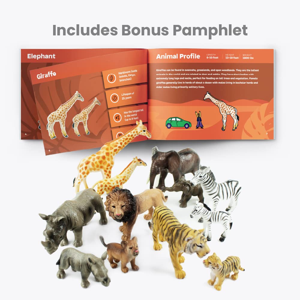 Boley 12 Piece Safari Animal Set - Different Varieties of Zoo Animals ...
