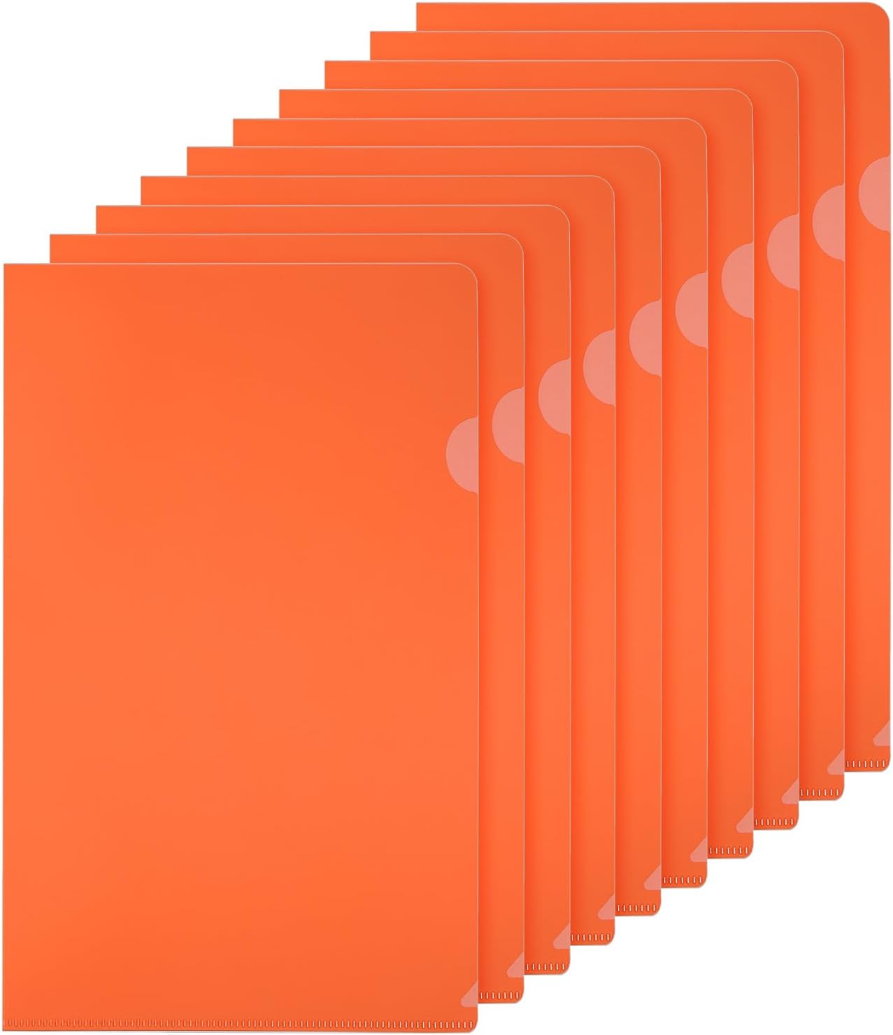 Amazon.com : PATIKIL L Type Folders 10 Pack A4 Plastic File Project ...