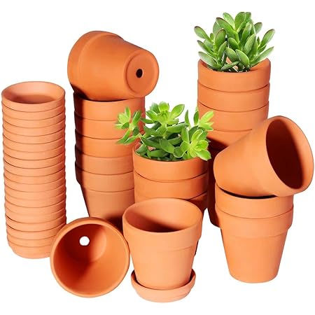 Amazon.com: 72 Pcs Small Mini Clay Pots - 2'' Terracotta Pot Ceramic ...