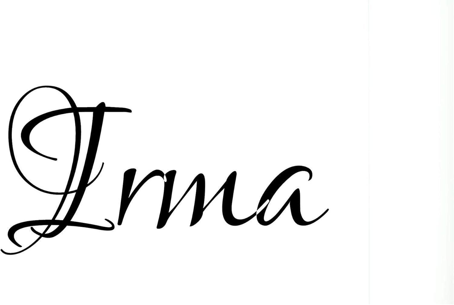 Amazon.com: Irma. tatuajes temporales pegatinas lindas de la cara una ...