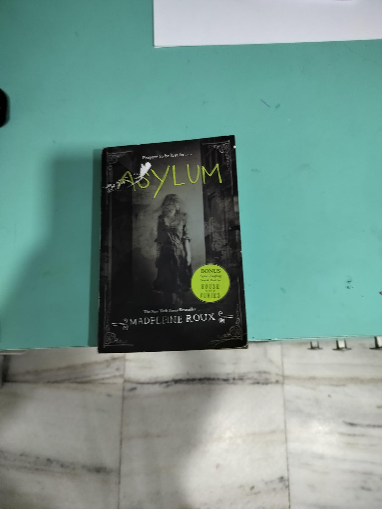 Asylum : Roux, Madeleine: Amazon.in: Books