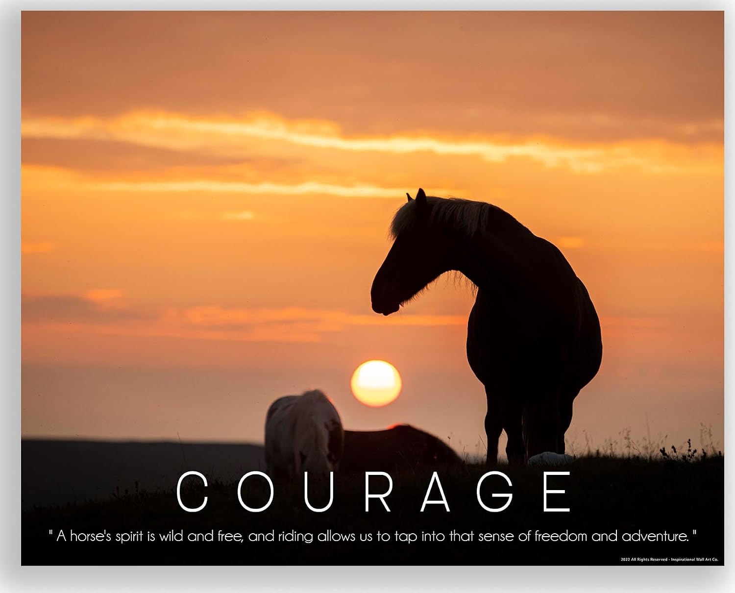 Amazon.com: Courage Wild Arabian Horse Stable Ranch Mare Equestrian ...