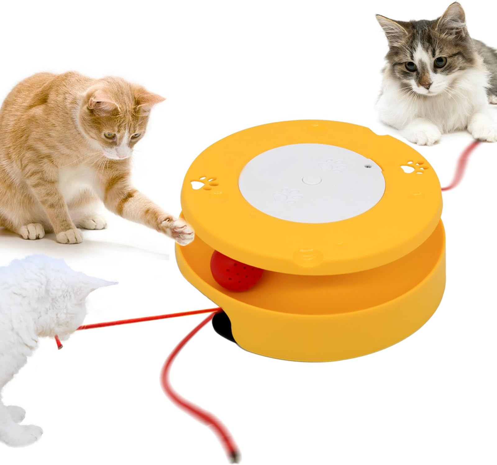 Amazon.com : MOODY PET Fling-AMA-String Cat Toy : Pet Supplies