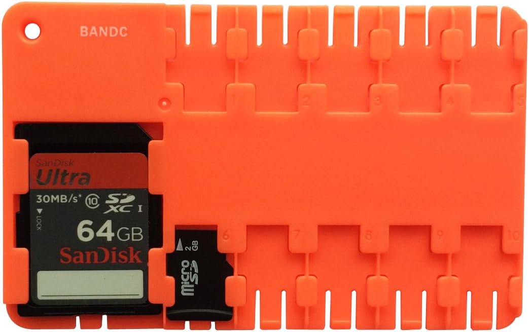 Amazon.com: ProMaster Memory Card Caddy Micro SD (6109) : Electronics