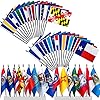 Amazon.com : Consummate 50 State Flags Set Small Mini Hand Held Stick ...
