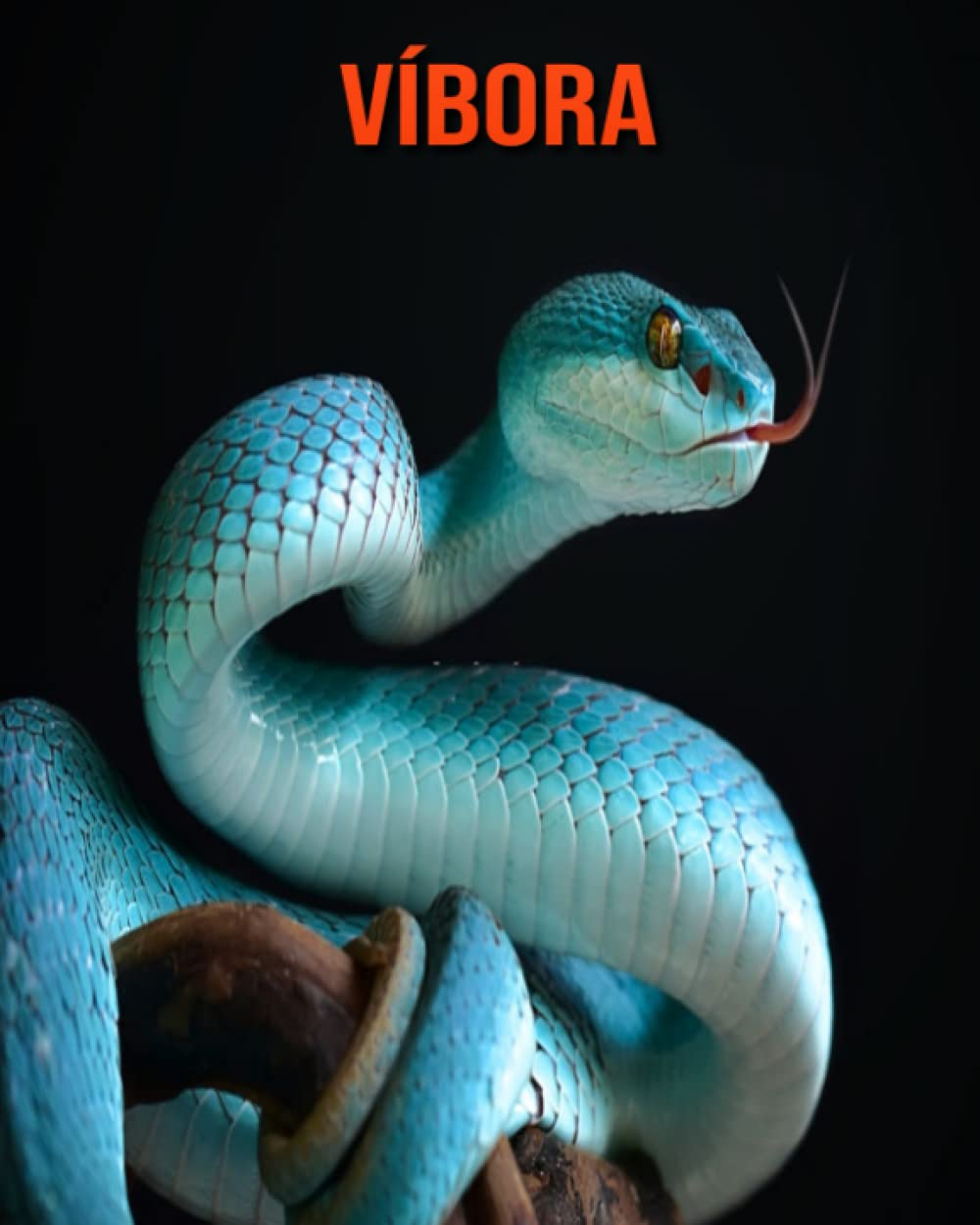 Buy Víbora: Libro para niños con imágenes hermosas y datos interesantes ...