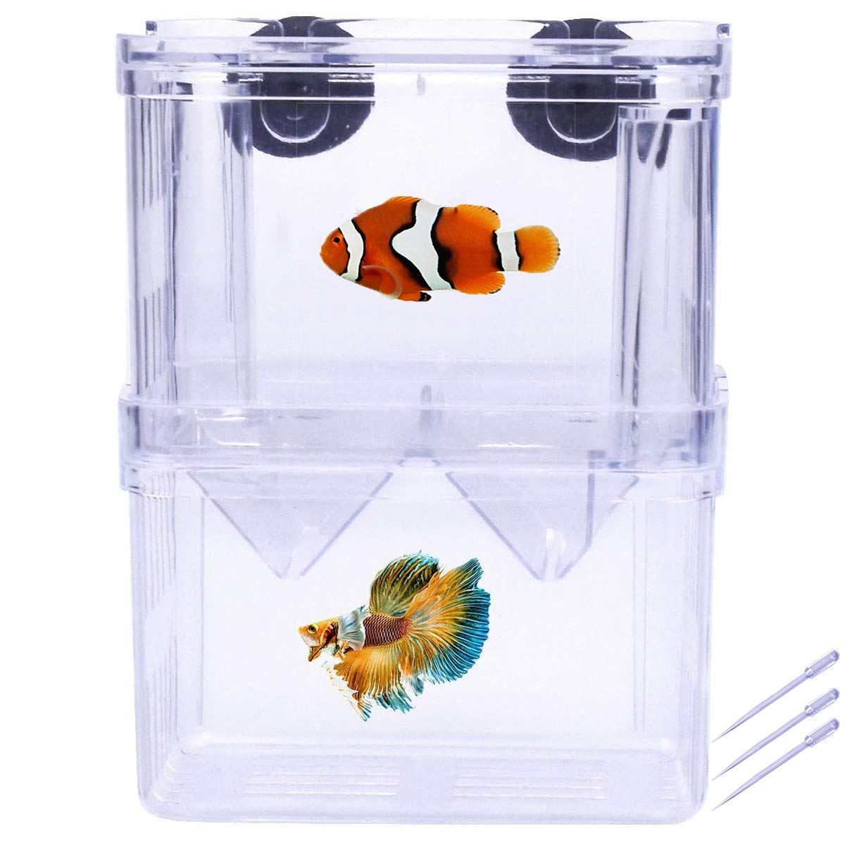 Buy ENIVING Fish Breeding Box Isolation Box Aquarium Fish Tank Hatchery ...