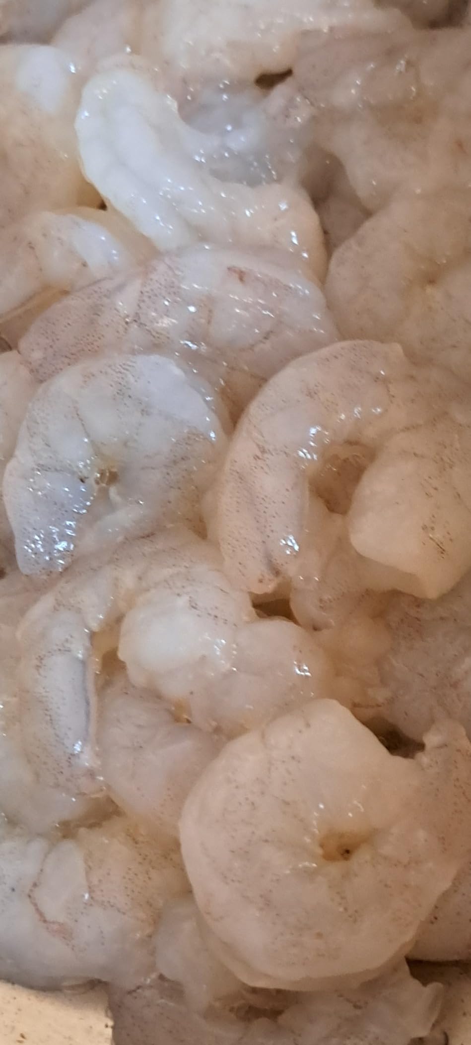 Mega Small Prawns 500g|Peeled & Deveined| (88-98Pcs) | Frozen : Amazon ...