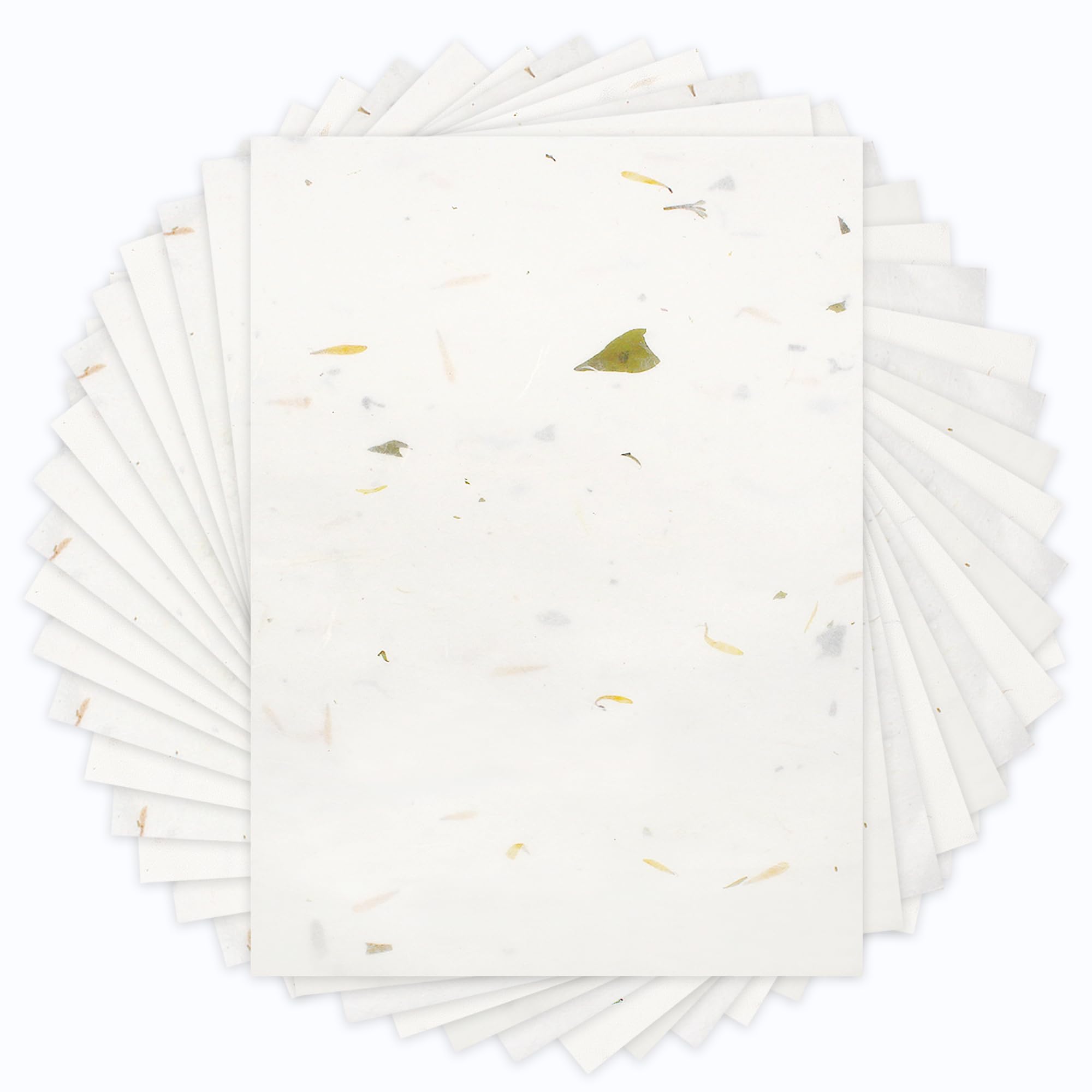 Amazon.com : Benvo 50 Sheets A4 Natural Mulberry Paper Visible Leaves ...