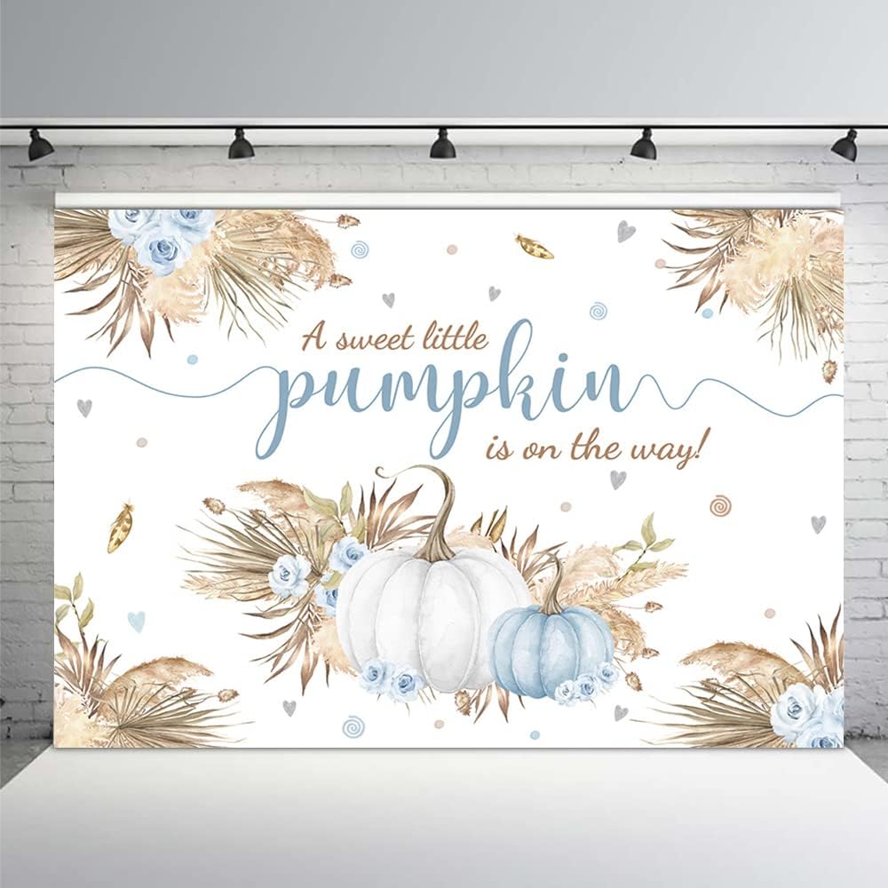 Amazon.com : MEHOFOND 7x5ft Autumn Boho Little Pumpkin Backdrop for Boy ...