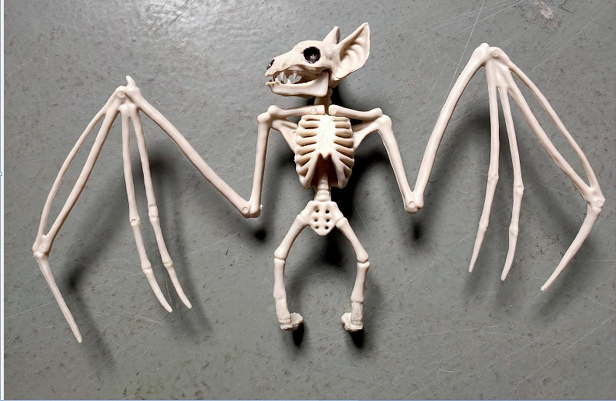 Amazon.com: Halloween Animal Skeleton Decor Halloween Decorative ...