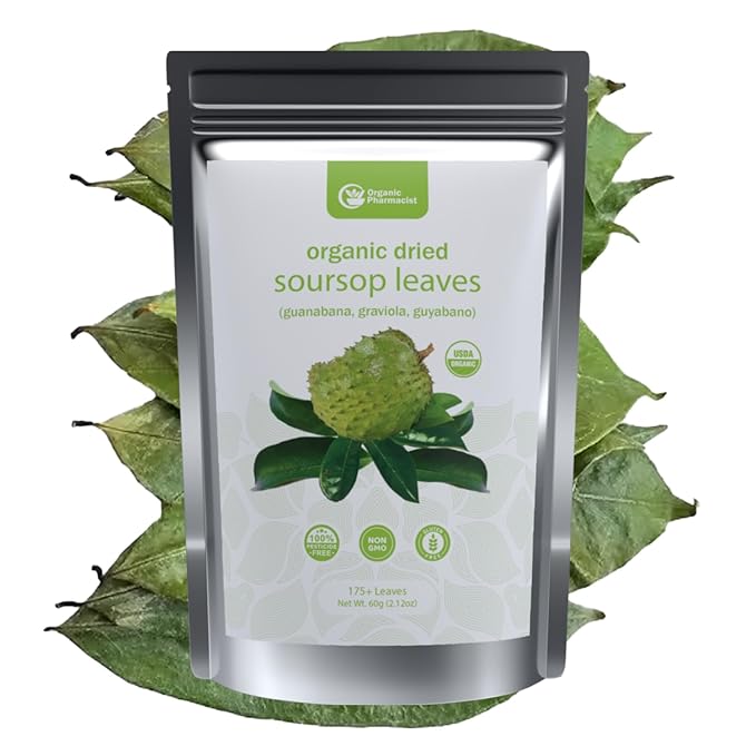 Amazon.com : Organic Dried Soursop Leaves, Graviola Leaf, Guanabana, Guyabano, Used for Soursop ...