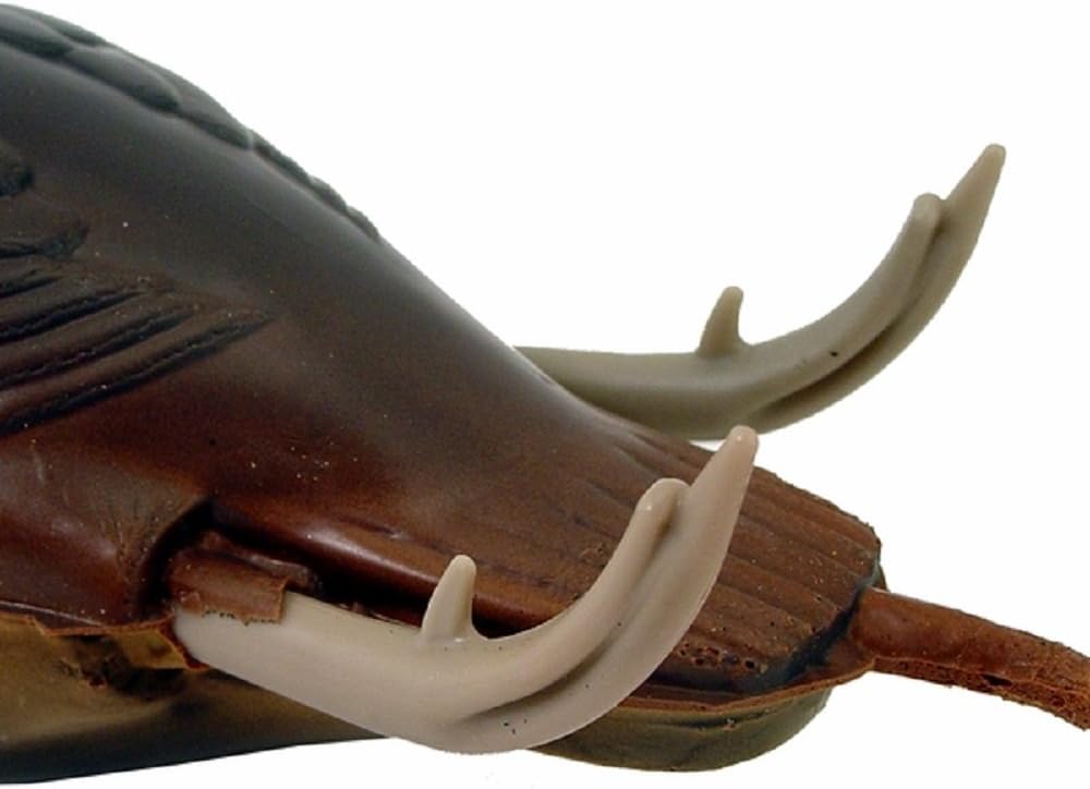 Top Breeds For Big Game Hunting: Choosing The Best Dog For Your Next ...