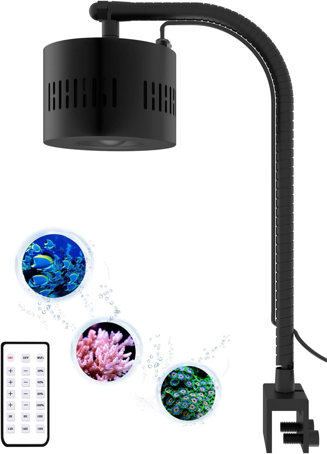 Amazon.com : Lominie Aquarium LED Light, Reef Coral Light Full Spectrum ...