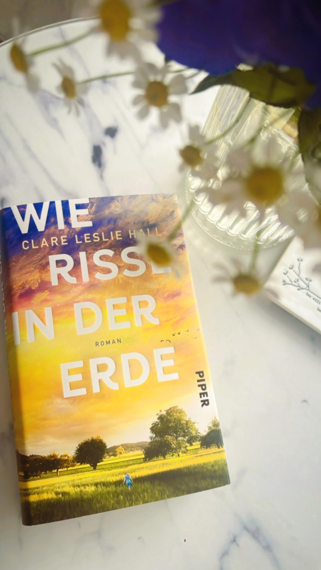 Wie Risse in der Erde: Roman | »Ein Buch, das man vielleicht nie in ...
