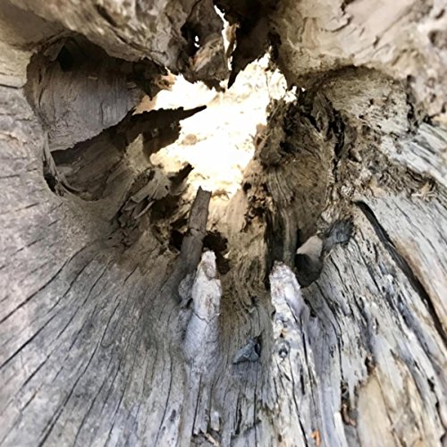 Play What Is Love? by Victor Johnson on Amazon Music