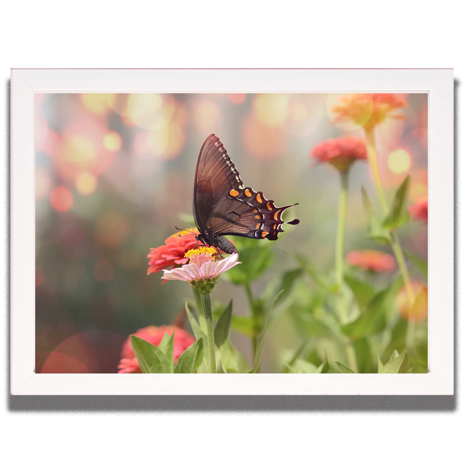 Beautiful Nature Frames