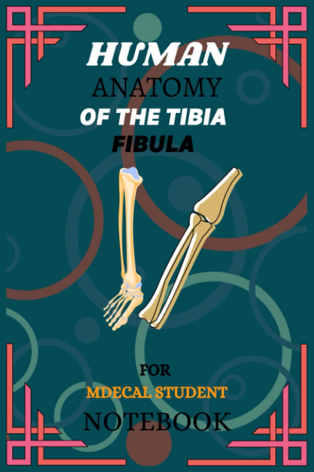 Buy HUMAN ANATOMY OF THE TIBIA FIBULA FOR MEDICAL STUDENT: Blank lined ...