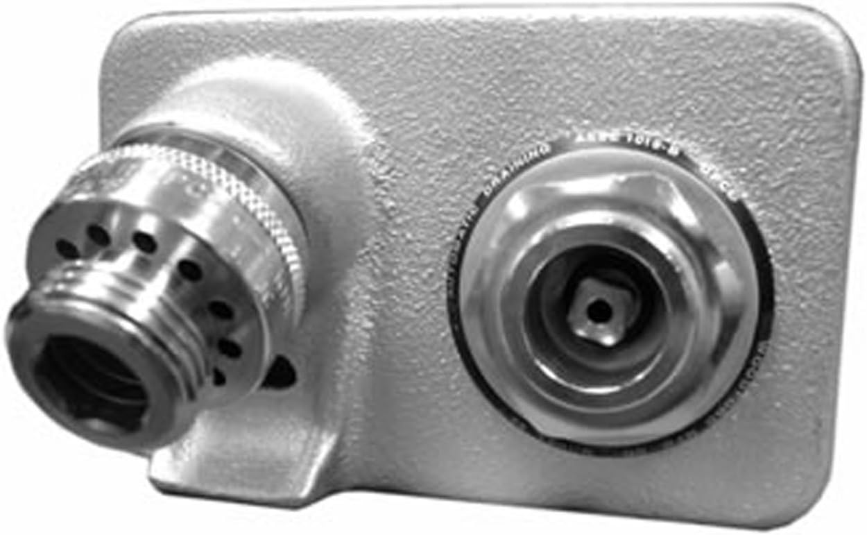 Woodford Hidrante de parede 65C-10-PB, entrada C, 25,4 cm, latão polido ...