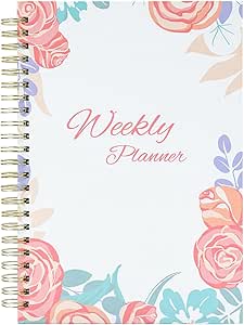 Amazon.com : Weekly Planner Undated Agenda Notebook Planner Weeks ...