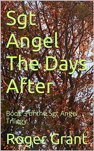 Sgt Angel The Days After: Book 3 of the Sgt Angel Trilogy (Sgt Angel ...