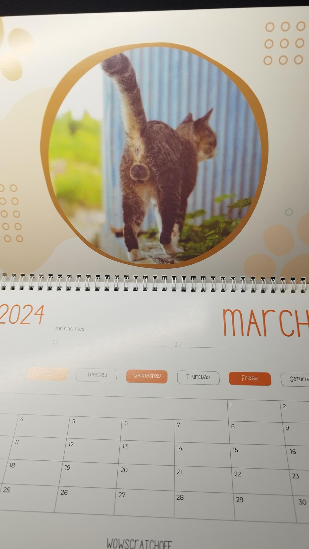 Funny Calendar 2024UK,Cat Calendar 2024 UK,Cat Balls Calendar 2024,2024 ...