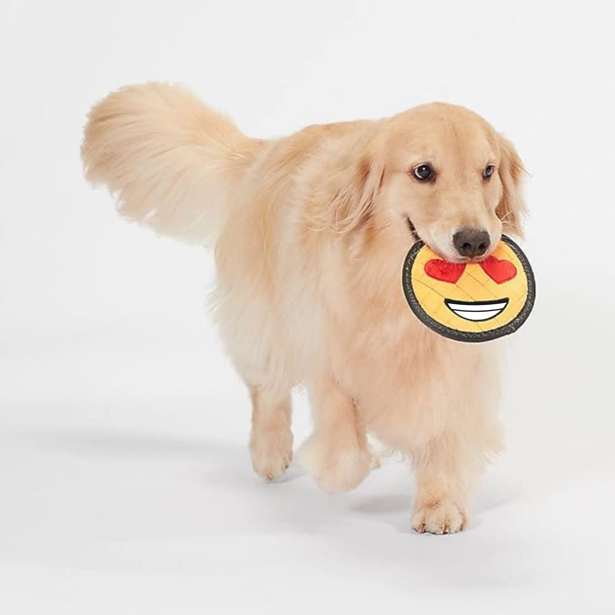 Dog Smiley