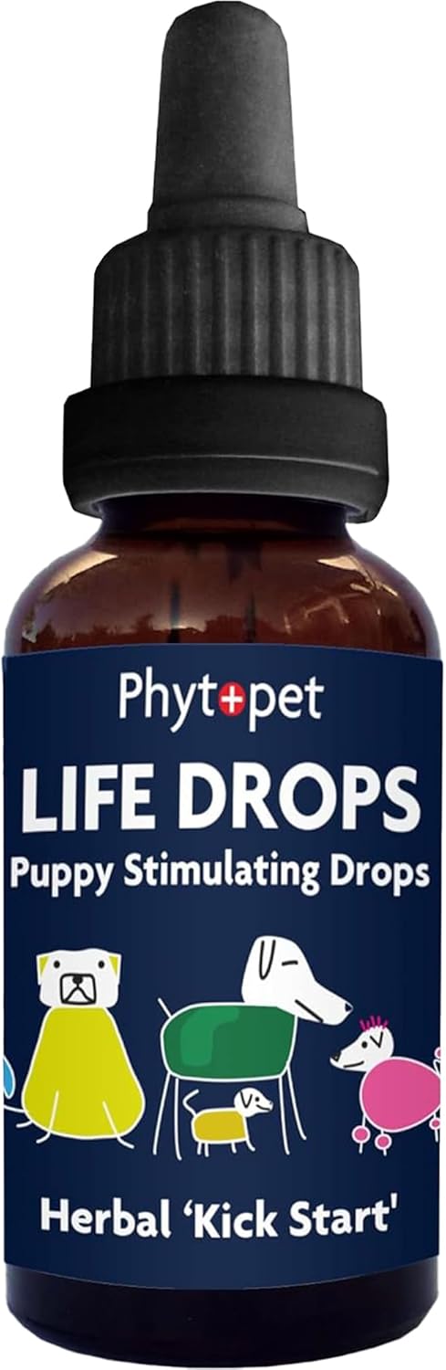 Phytopet Life Drops, All Natural Stimulant, Energy Boost, Immune ...