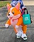 Amazon.com: Inflatable Costumes Kids Dog Costume Halloween Blow Up Ride ...