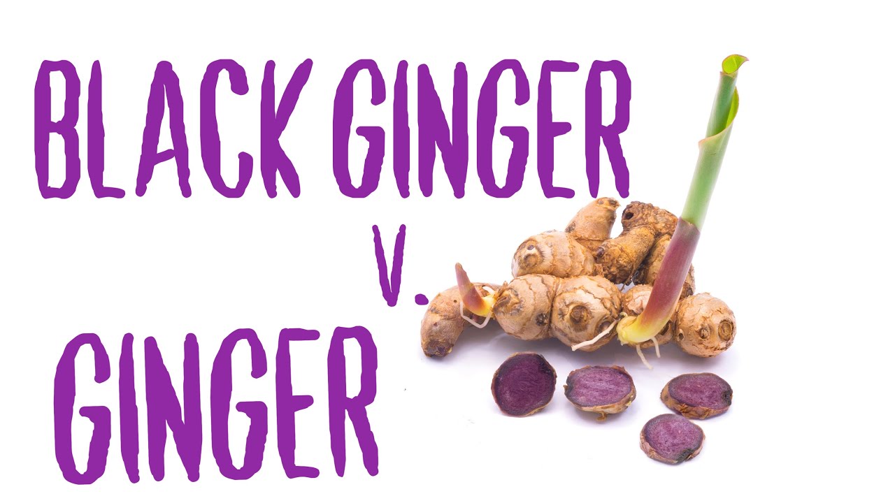 Watch Black Ginger vs. Ginger - What's the Difference? on Amazon Live