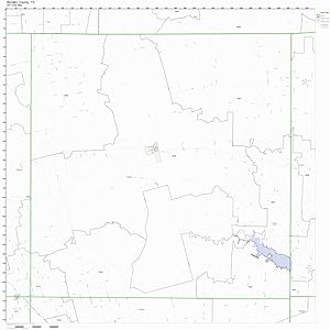 Amazon.com: Working Maps Borden County, Texas TX ZIP Code Map Not ...