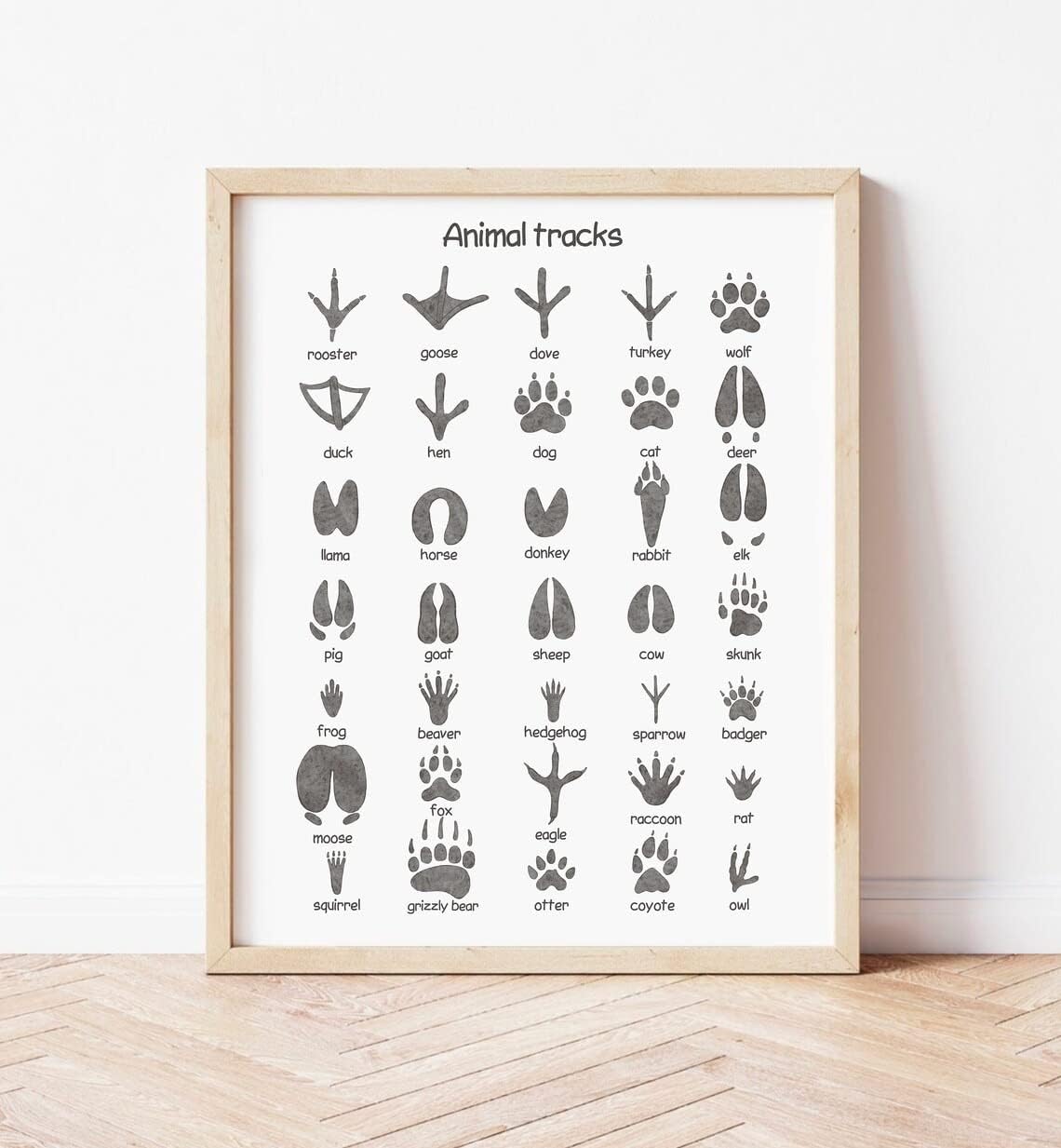 Amazon.com: Animal Tracks Print Woodland Nursery Decor Rustic Outdoor ...
