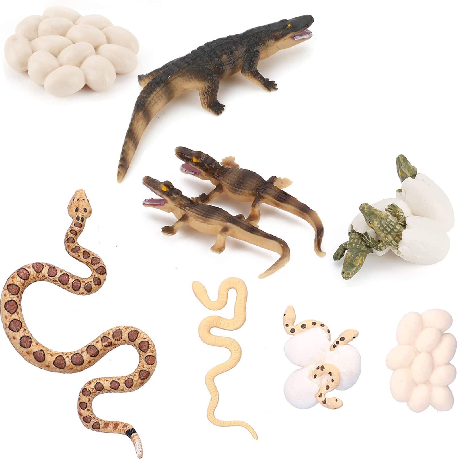 Gemini&Genius Rattlesnake and Crocodile Life Cycle Toys, Reptile Animal ...