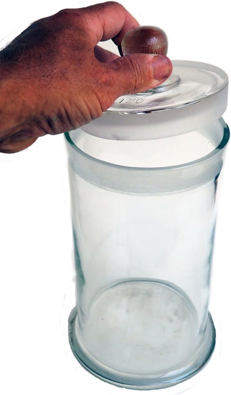 Amazon.com: Glass Specimen Jar, 210 x 120mm with lid : Industrial ...