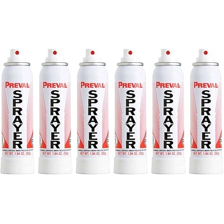 Preval 2 Pack - Power Paint Sprayers - Amazon.com