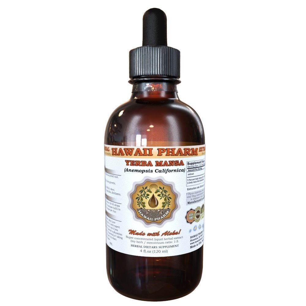 Amazon.com: Yerba Mansa Liquid Extract, Yerba Mansa (Anemopsis ...