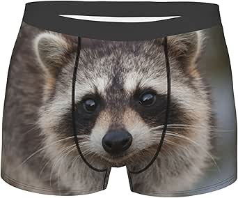 Amazon.com: Raccoon Looking Directly Funny Boxer Briefs for Men, Underwear for Men : Clothing ...