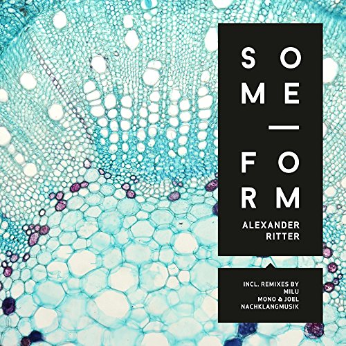 Amazon.com: Some Form : Alex Ritter: Digital Music