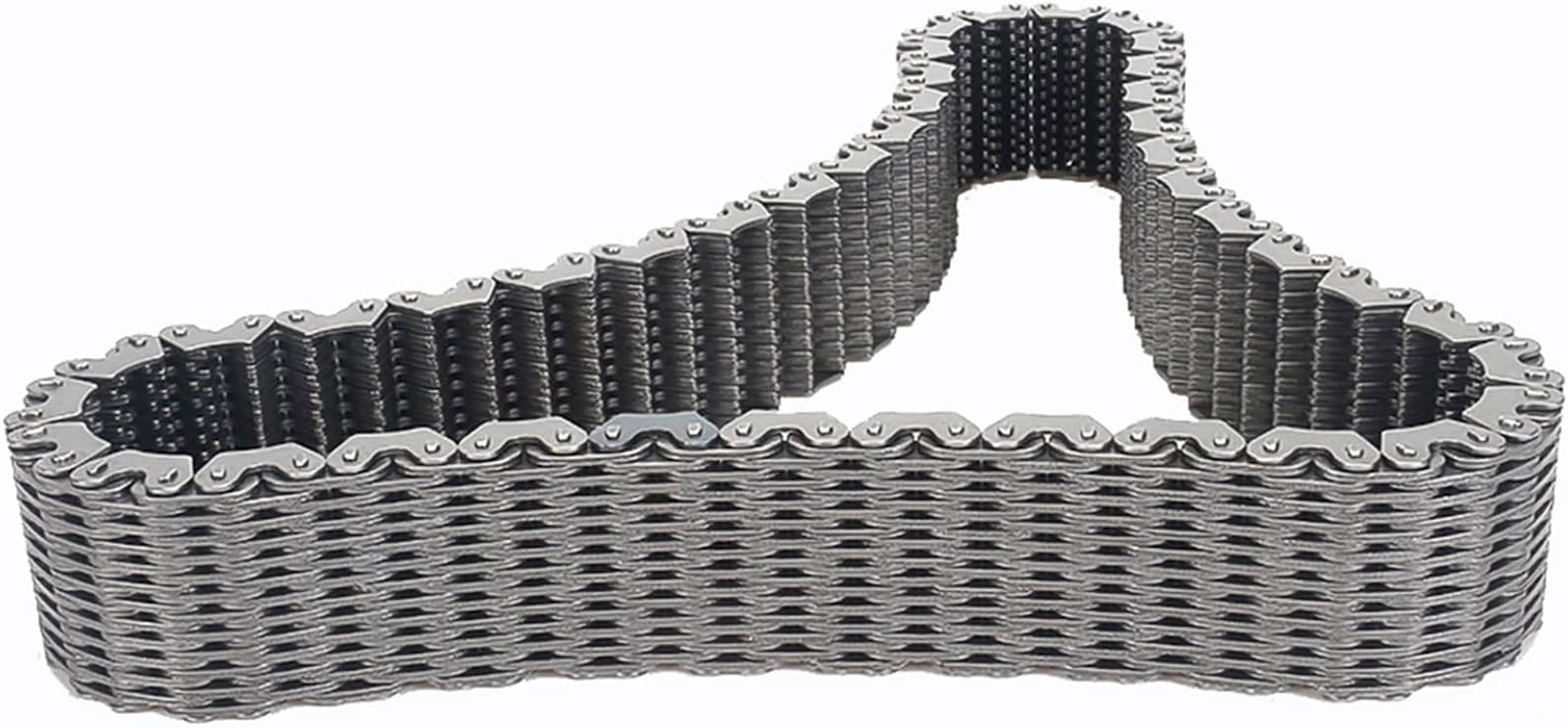 Amazon.com: BorgWarner 375466 (HV523/HV091) Transfer Case Chain ...