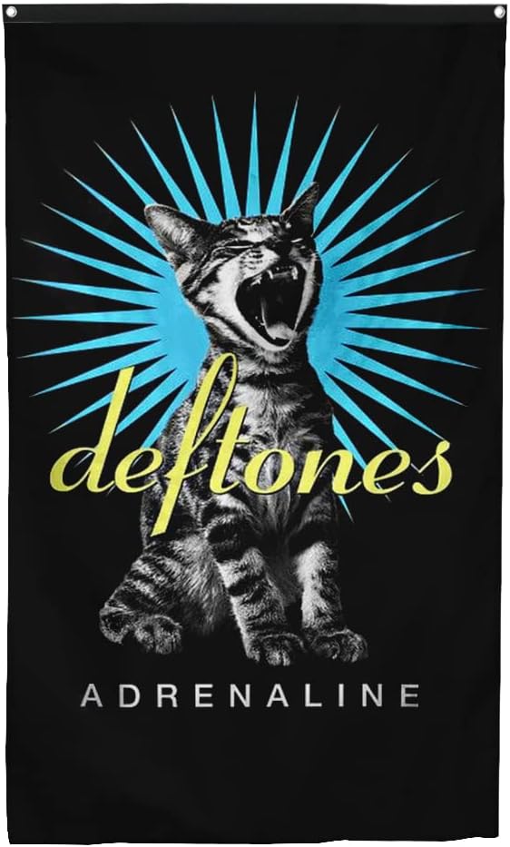 Amazon.com : DAOOPS DEFTONES tapestry cloth poster 3x5ft wall decor ...