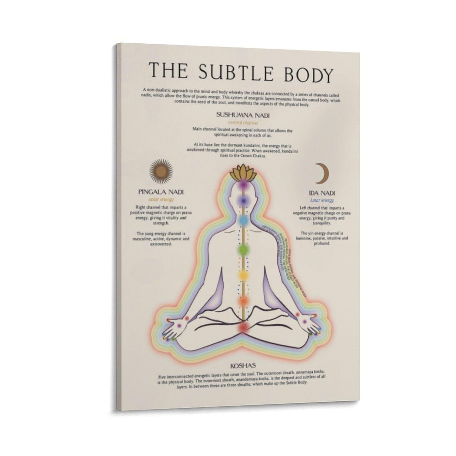 Amazon.com: The Roby Chart Poster Energy Anatomy Chakra Poster Poster ...