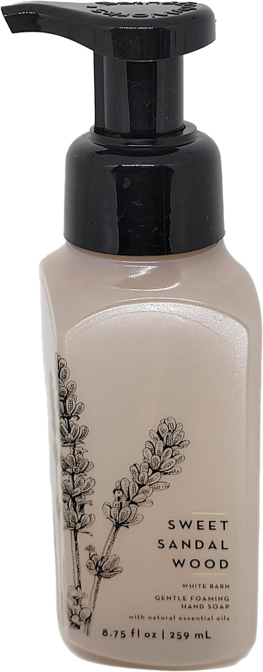 Amazon.com : Bath & Body Works Gentle Foaming Hand Soap Vanilla Matcha ...