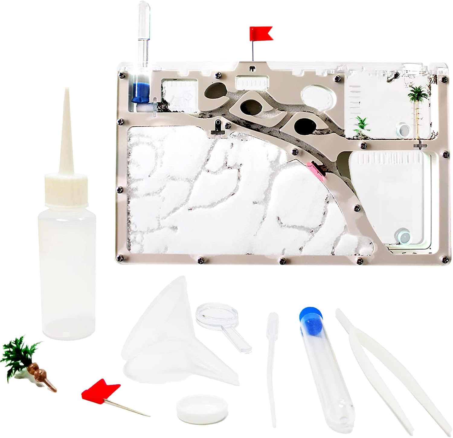 Amazon.com: EXBEPE Sand Ant Farm Castle Ant Colony Ecosystem Science ...