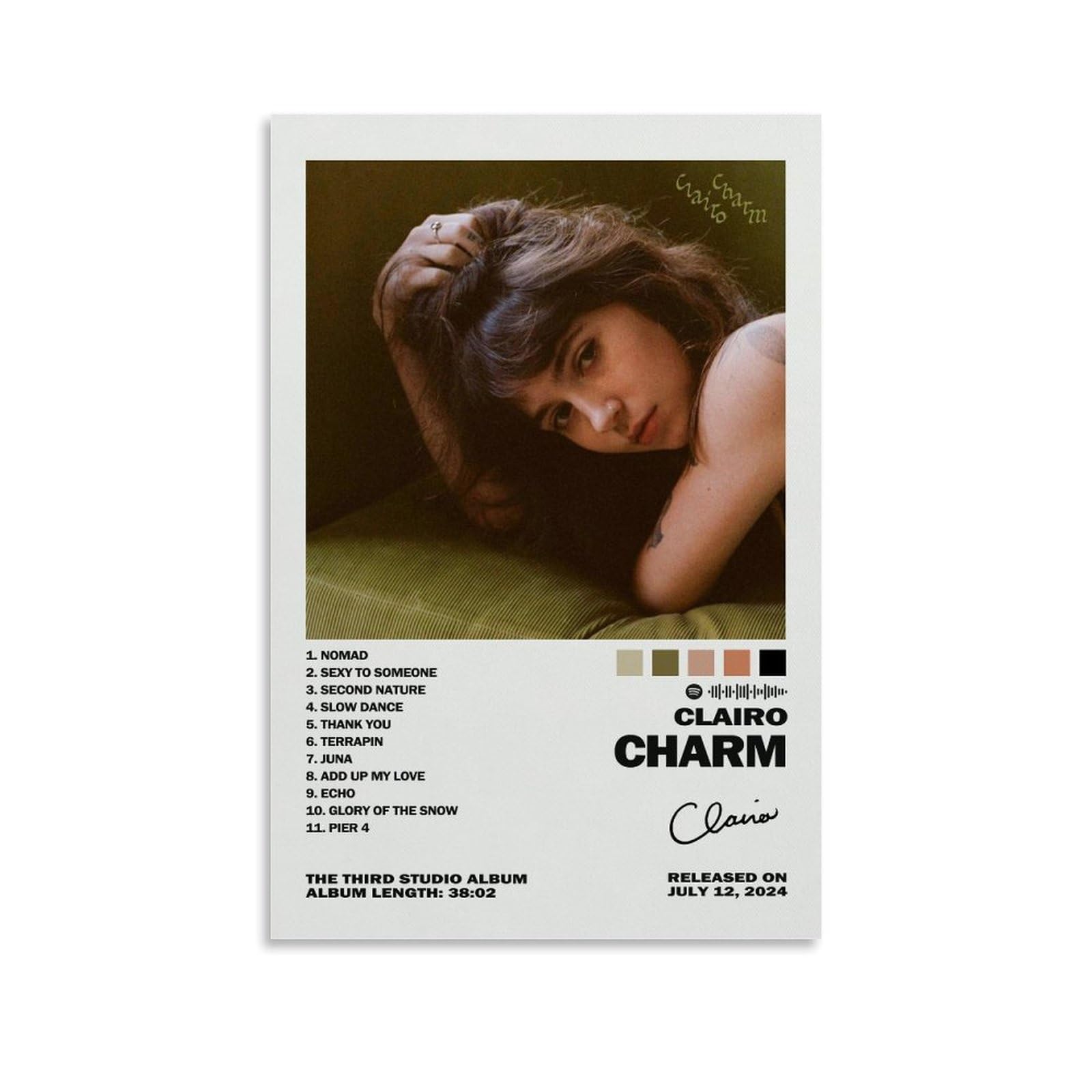 Suoluf Clairo Poster Charm Album Cover Canvas Art Painting Decor Wall Posters Bedroom Gym ...