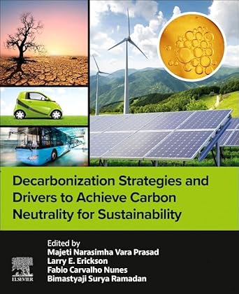 Decarbonization Strategies and Drivers to Achieve Carbon Neutrality for ...