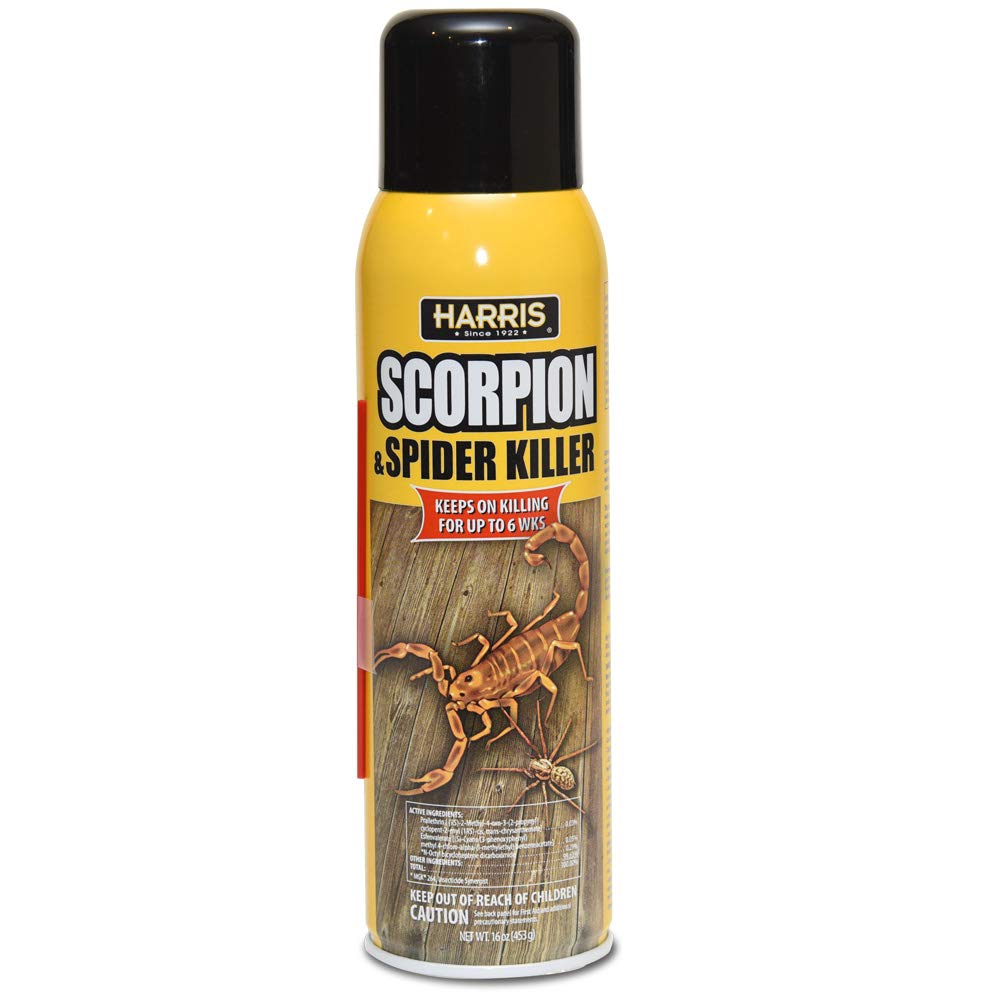 Amazon.com: Harris Scorpion and Spider Killer, 16oz Aerosol with 6 Week ...
