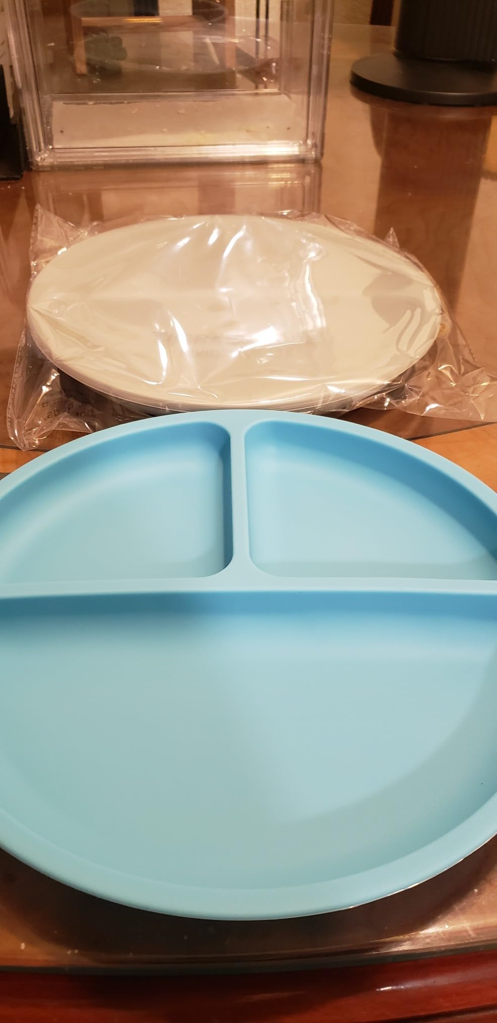 Amazon.com | THERASHIELDZ 10-1/4" Spillproof Dinner Plate for Sick ...