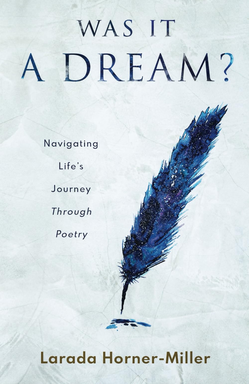 Was It a Dream?: Navigating Life's Journey Through Poetry: Horner ...